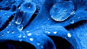 Dew Drops Desktop Theme for Windows 10 / 11