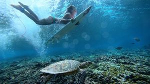 Surfing Desktop Theme for Windows 10 / 11