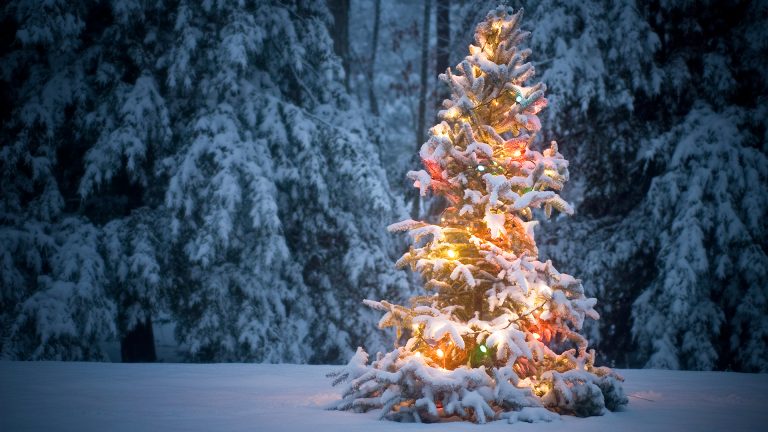 Christmas Tree Desktop Theme for Windows 10 / 11