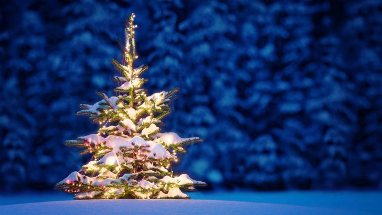 Christmas Tree Desktop Theme for Windows 10 / 11
