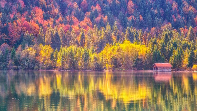 Fall Theme for Windows 10