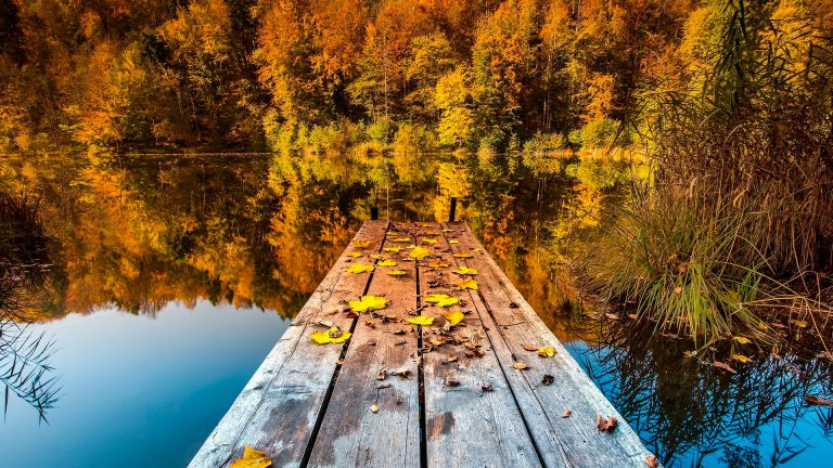 Fall Theme for Windows 10