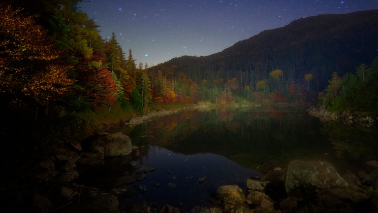 Fall Theme for Windows 10