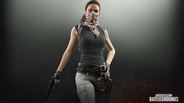 PUBG Desktop Theme for Windows 10 / 11