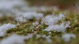 Spring Desktop Theme for Windows 10 / 11