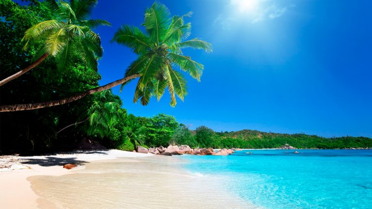 Tropical Beach Theme for Windows 10