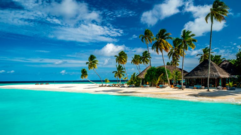 Tropical Beach Theme for Windows 10