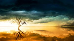 Tree Desktop Theme for Windows 10