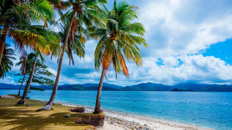 Tropical Beach Theme for Windows 10