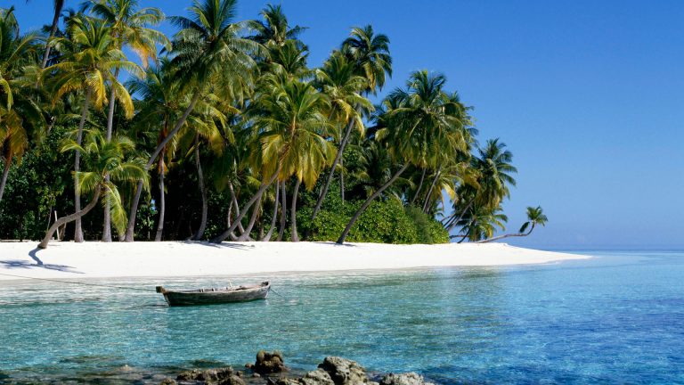 Tropical Beach Theme for Windows 10