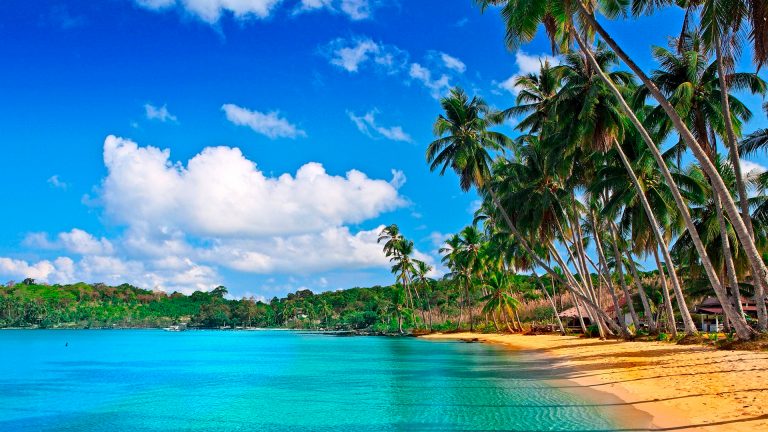 Tropical Beach Theme for Windows 10