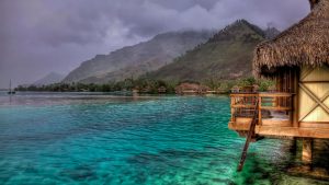 Tropical Beach Theme for Windows 10