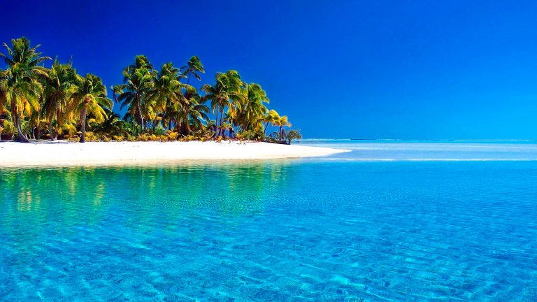 Tropical Beach Theme for Windows 10