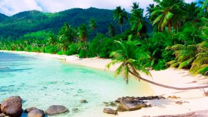 Tropical Beach Theme for Windows 10