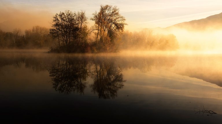 Fog Theme for Windows 10