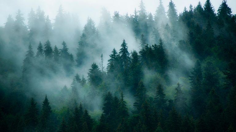 Fog Theme for Windows 10